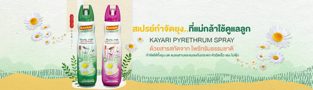 สเปรย์กำจัดยุงภายในบ้าน Archives - Kayari