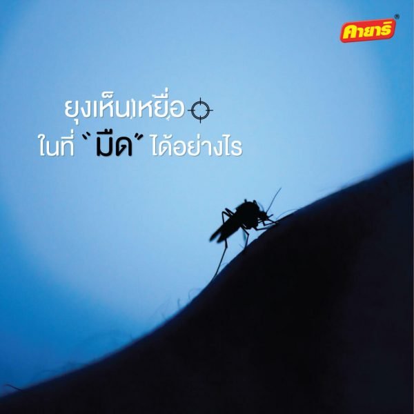 หน้าแรก - Kayari