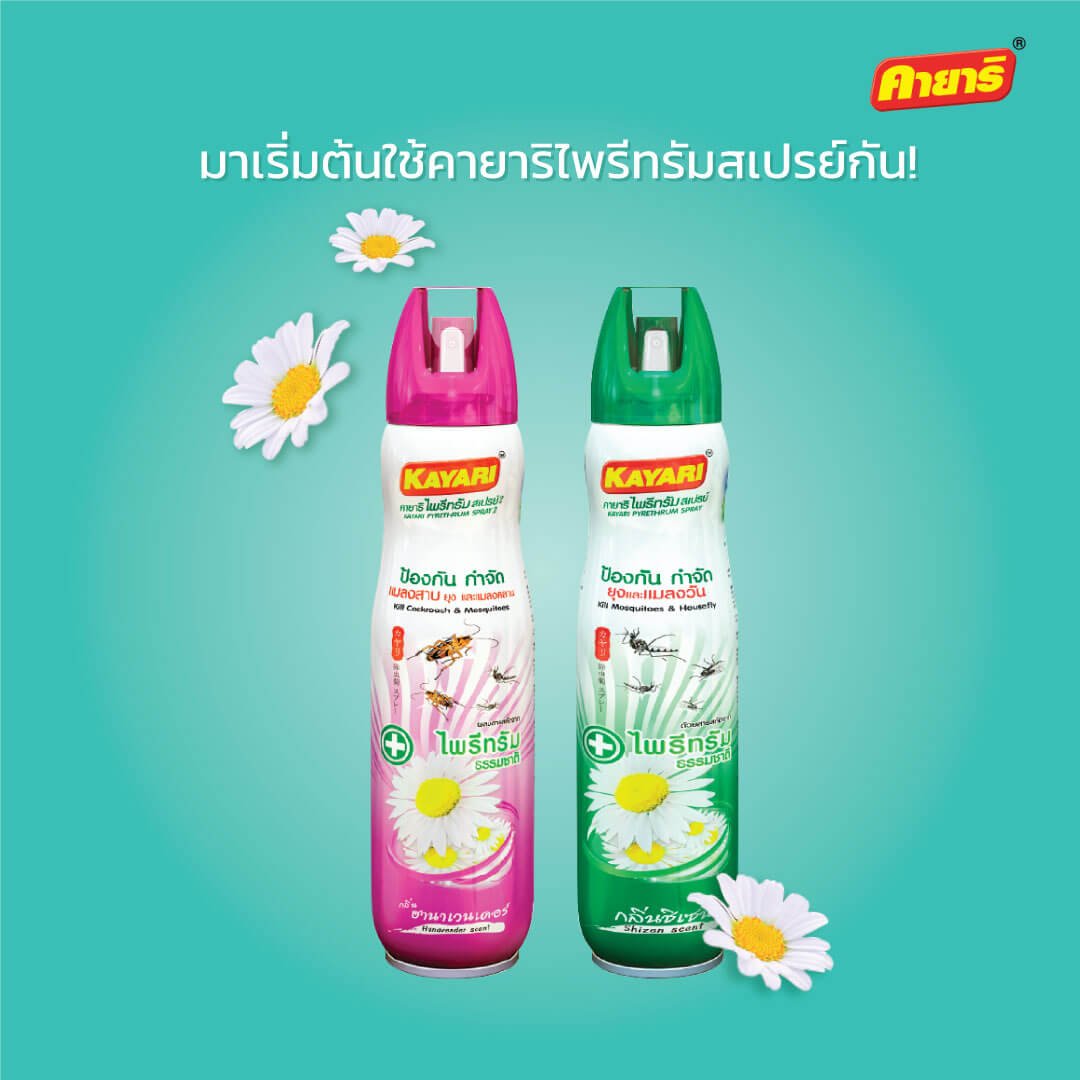 มาเริ่มต้นใช้คายาริไพรีทรัมสเปรย์กัน! - Kayari